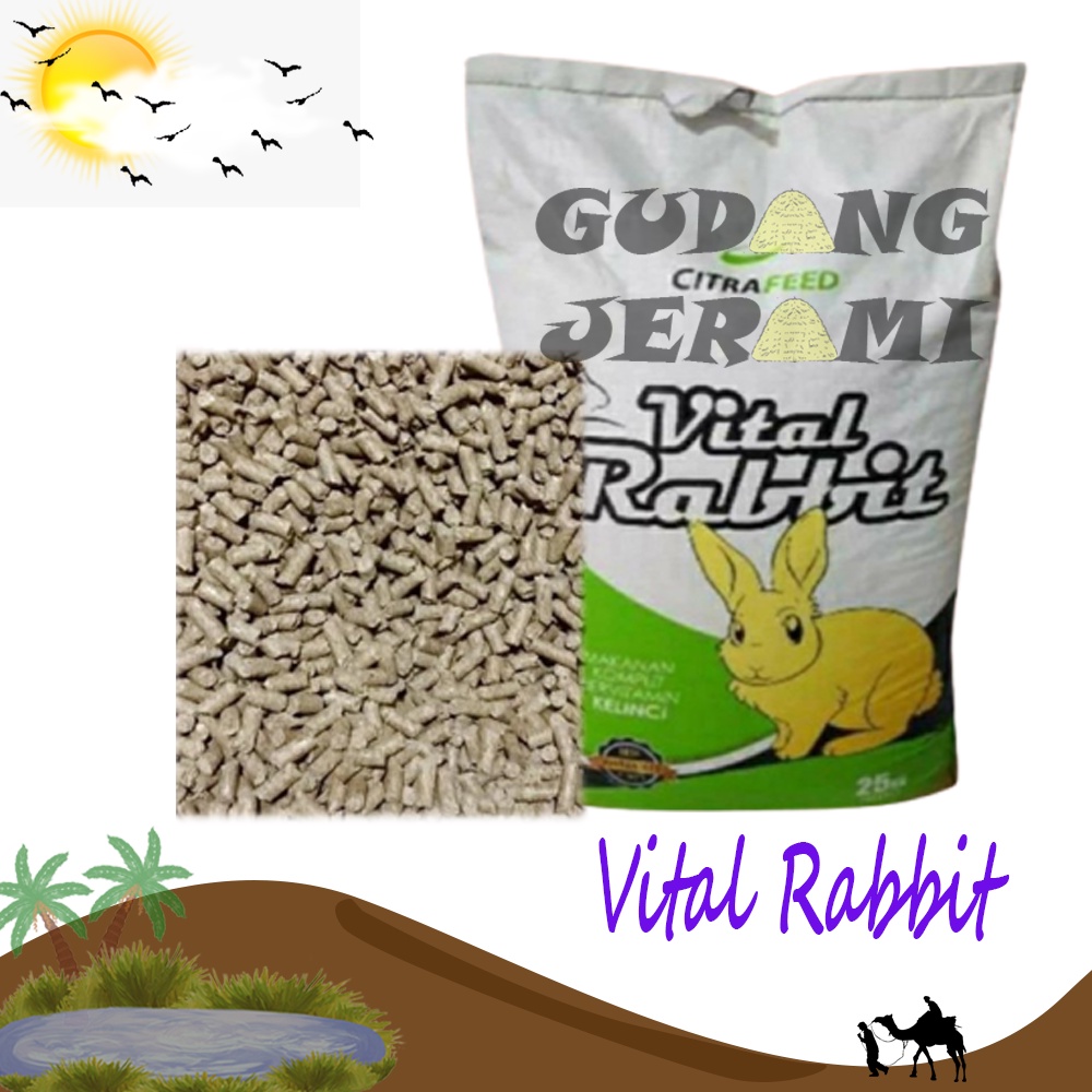 Jual Pelet Kelinci VITAL RABBIT/CITRA FEED 25 kg Makanan Kelinci Vital ...