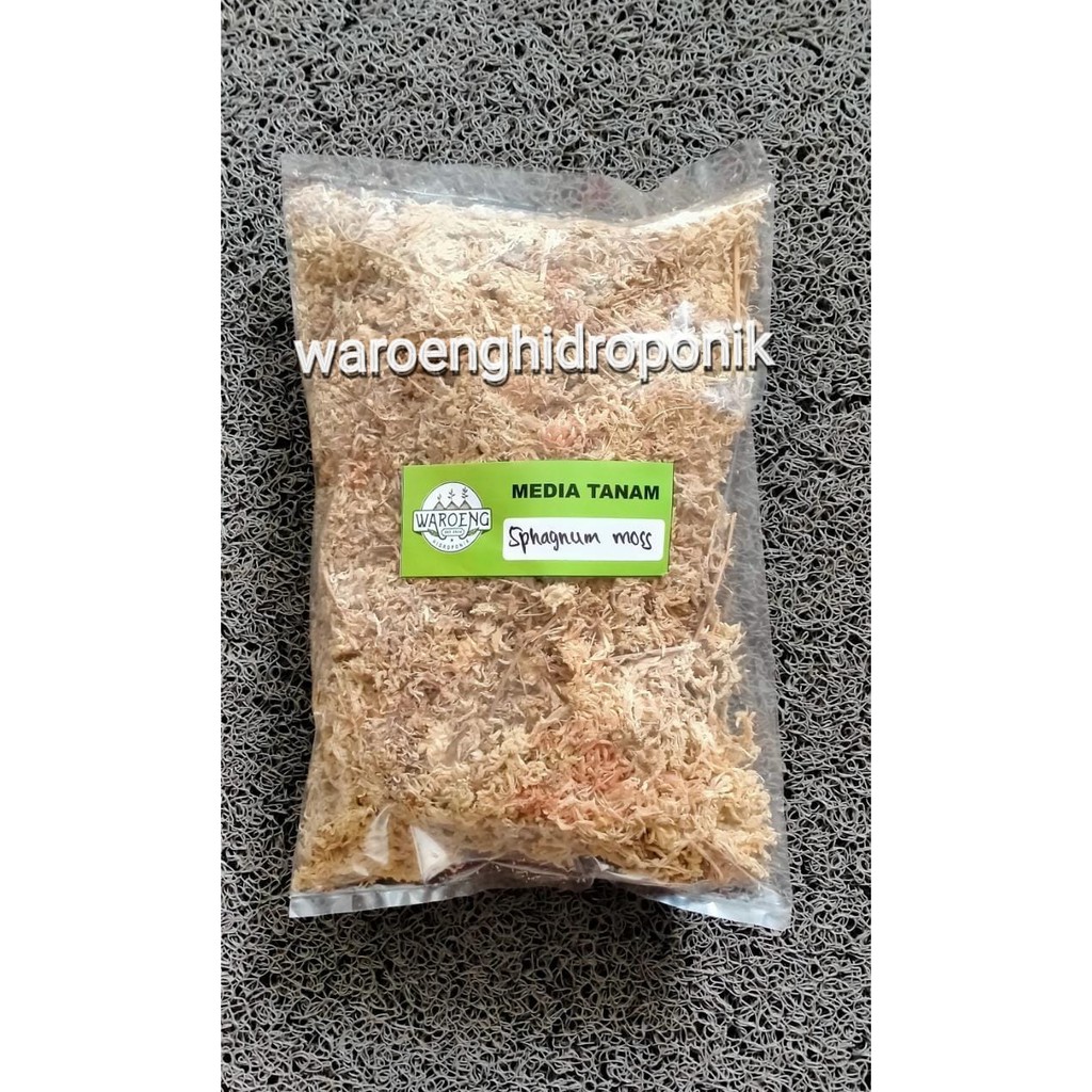 Jual SPHAGNUM MOSS PUTIH GRADE A IMPORT MEDIA TANAMAN ANGGREK | Shopee ...