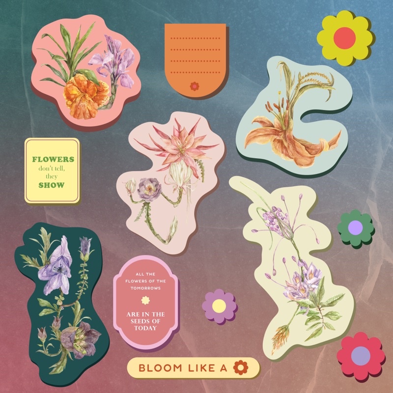 Jual STICKER BUNGA TEKKUN | Shopee Indonesia