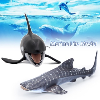 Jual Mainan Simulasi Ikan Paus / Hiu / Lumba-Lumba Figure Whale Mainan ...