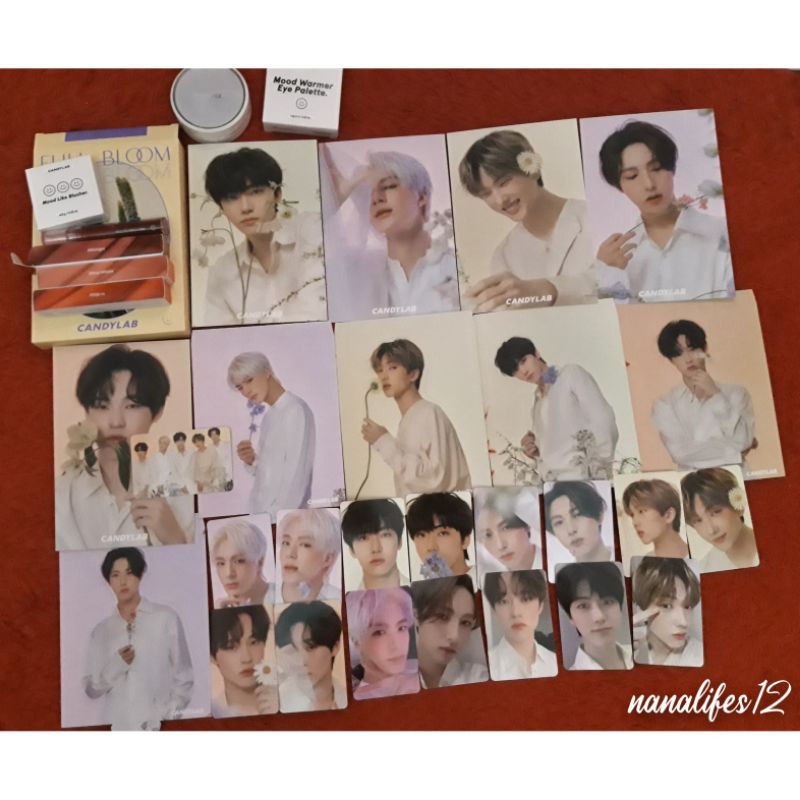 Jual CANDYLAB x NCT DREAM VERSI 4 FULL BLOOM JAEMIN/JENO SELCA/JISUNG/CHENLE/RENJUN | Shopee ...