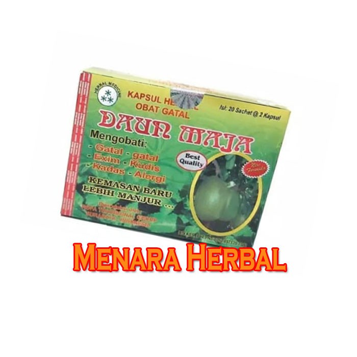 Jual DAUN MAJA Kapsul Herbal Obat Gatal 20 Sachet @ 2 Kapsul ORIGINAL ...