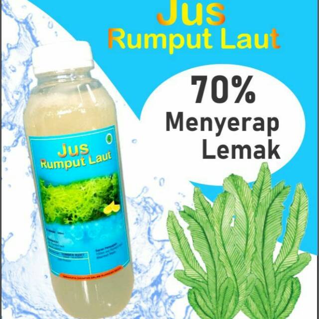 Jual JUICE RUMPUT LAUT 500 ML | Shopee Indonesia