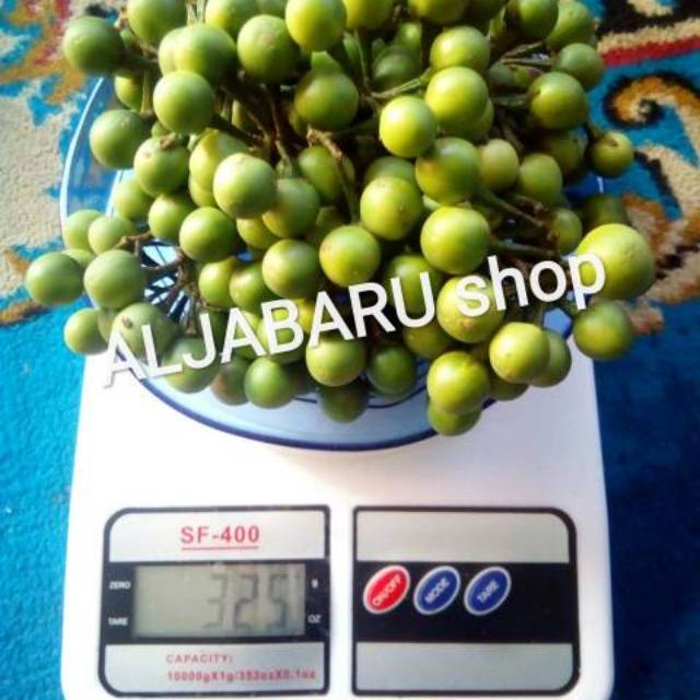 Jual Takokak / Cepokak / Tekokak Fresh | 325 gram | Shopee Indonesia