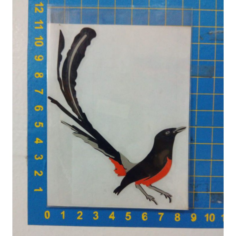 Jual Sticker Cutting BURUNG MURAI | Shopee Indonesia
