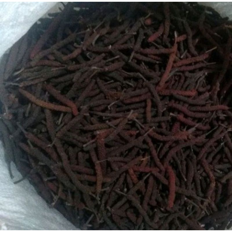 Jual CABE JAWA/CABE JAMU-CABE PUYANG KERING | Shopee Indonesia