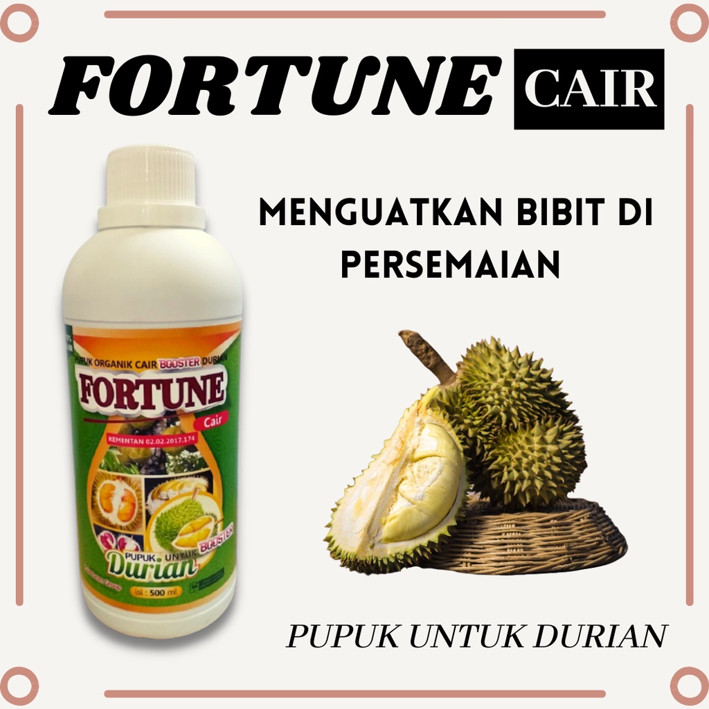 Jual Pupuk Durian Cepat Berbuah, Pupuk Cair Fortune Pemicu Pembuahan, Pupuk Durian Agar Berbuah ...