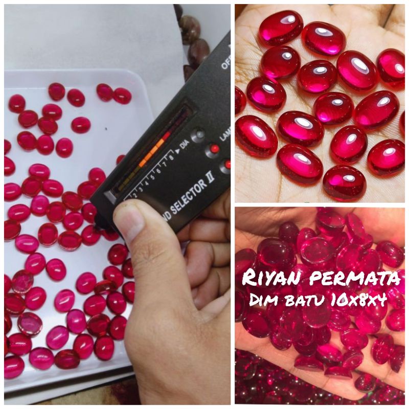 Jual Batu merah siam bangkok asli bangkok biasa dan merah siam Bangkok ...