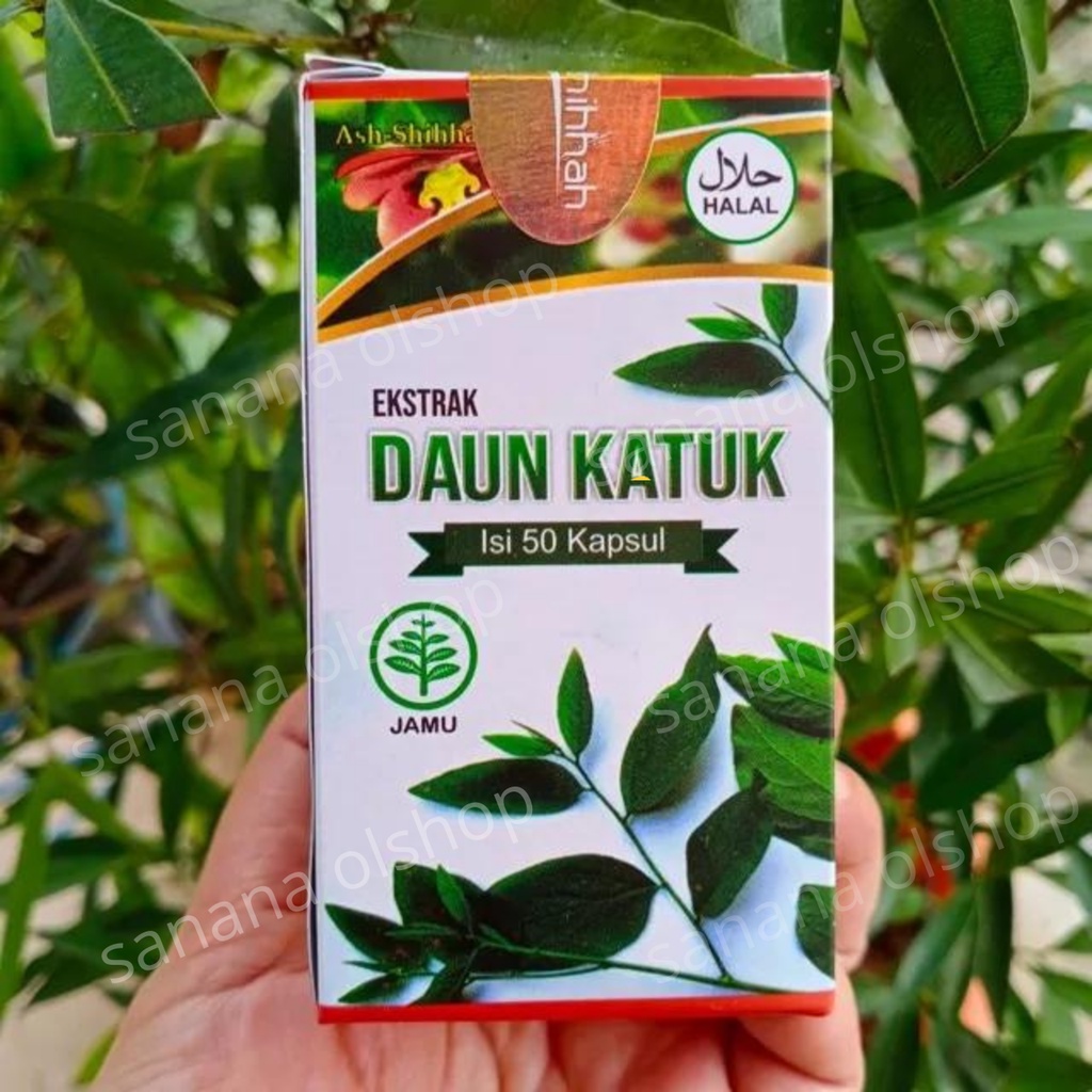 Jual Kapsul extrac Daun katuk | Kapsul Daun Katuk | Pelancar Asi / Asi Booster / Katuk / booster ...
