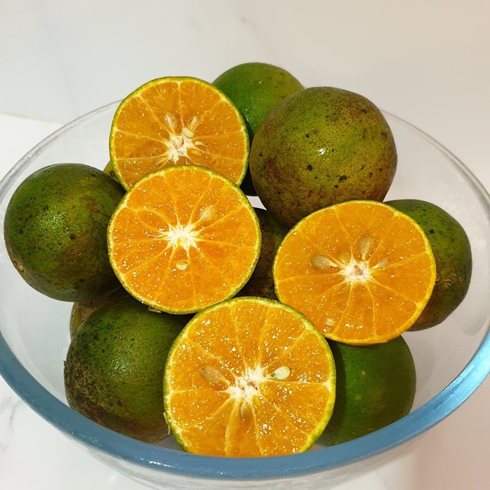 Jual Jeruk Peras Jember atau pontianak,Harga per 1 kilo | Shopee Indonesia