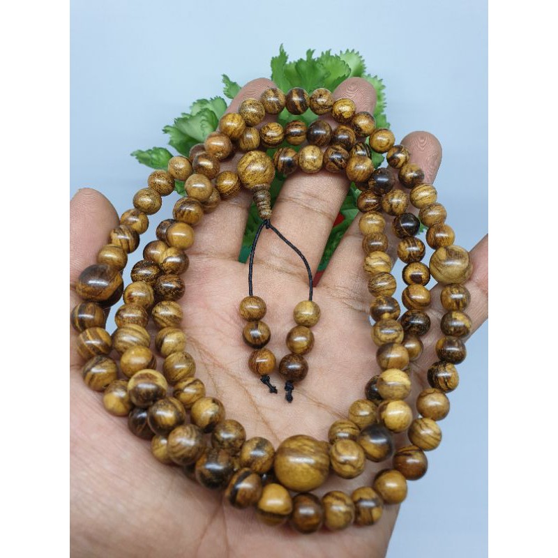 Jual TASBIH BUDHA 108 KAYU BERTUAH GAHARU ZEBRA WANGI UKURAN 8 MM ... Jual TASBIH BUDHA 108 KAYU BERTUAH GAHARU ZEBRA WANGI UKURAN 8 MM ...
