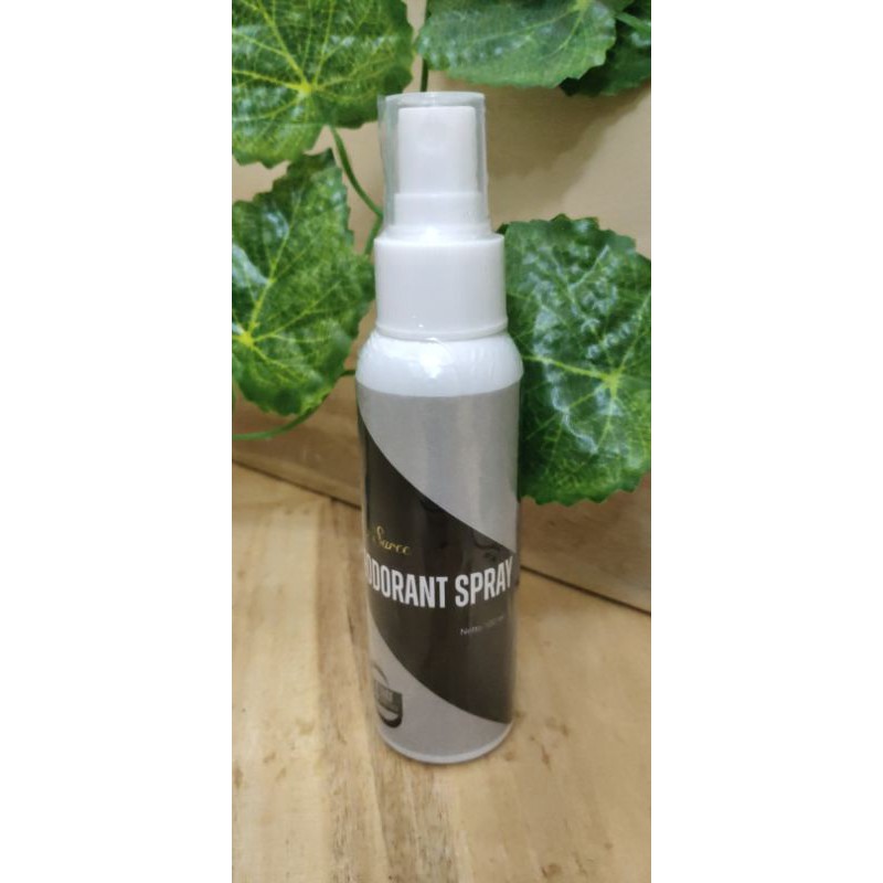 Jual Deodorant spray 100ml | Shopee Indonesia