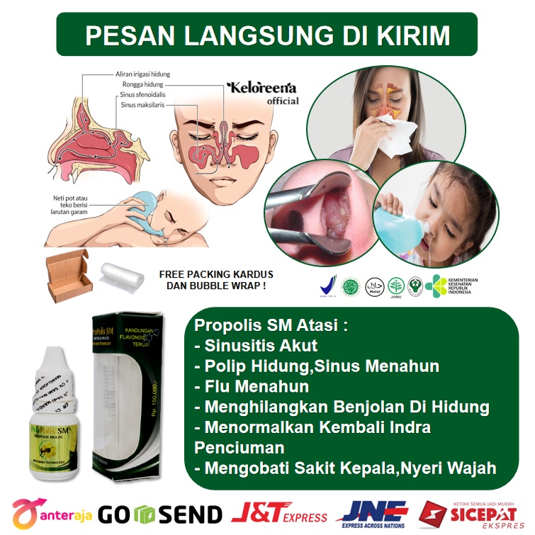 Jual Obat Anosmia Hilang Penciuman Dan Perasa Atasi Dengan Propolis SM ...