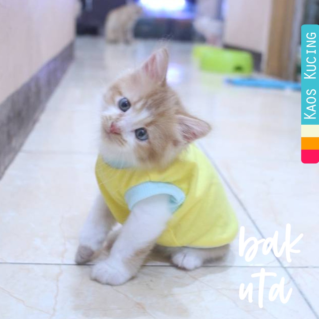Jual Kaos simple warna kuning / kaos rumahan polos / baju kucing size S ...