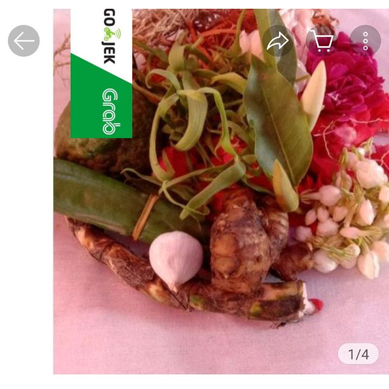 Jual kmbang macan kera komplit mandi kembang macan kerah kembang leson ...