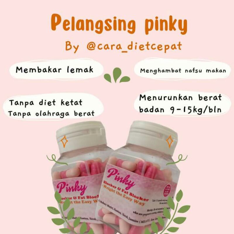 Jual Pelangsing badan ampuh Obat diet pinky slimm isi 60kapsul | Shopee ...