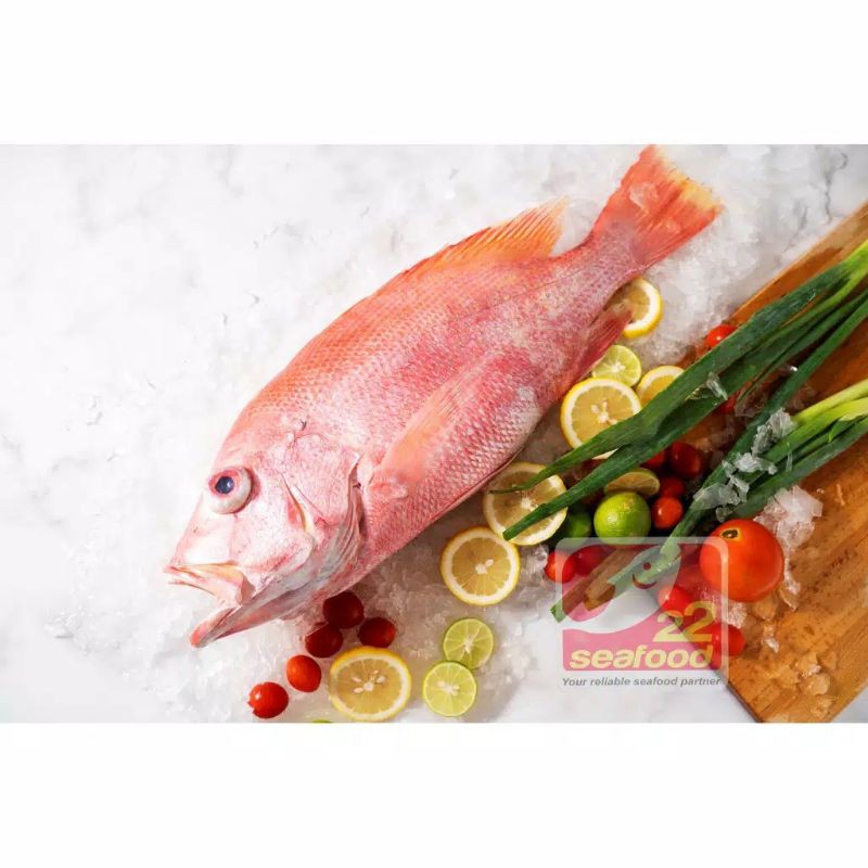 Jual Ikan Kakap Merah Kecil Utuh 1 kg / Red Snapper Export Quality ...