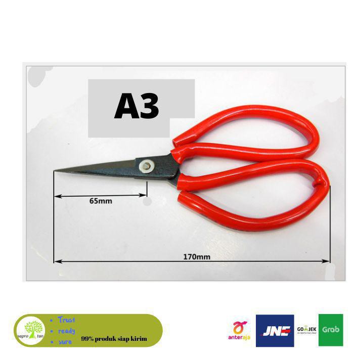 Jual Gunting daun prunning ranting bonsai A3 NEW | Shopee Indonesia