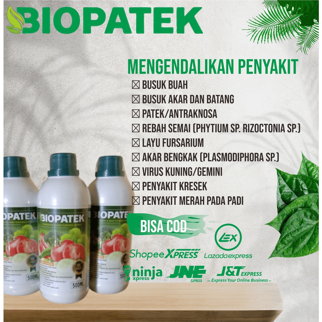Jual BIOPATEK BAKTERISIDA Obat Virus Kuning Gemini & Keriting Daun Cabe ...
