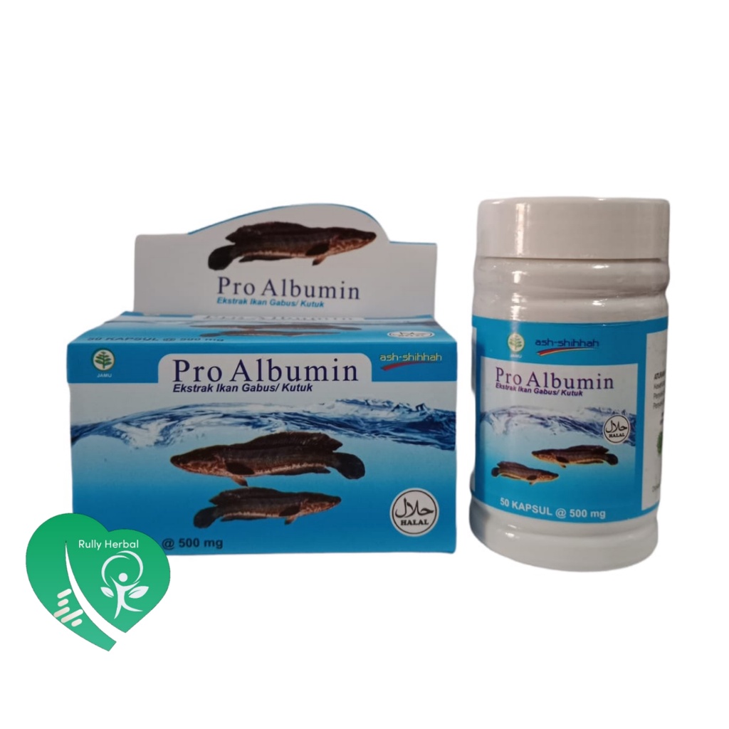 Jual Kapsul PRO ALBUMIN Ekstrak Ikan Gabus / Kutuk Ash-Shihhah 50 KAPSUL ORIGINAL | Shopee Indonesia