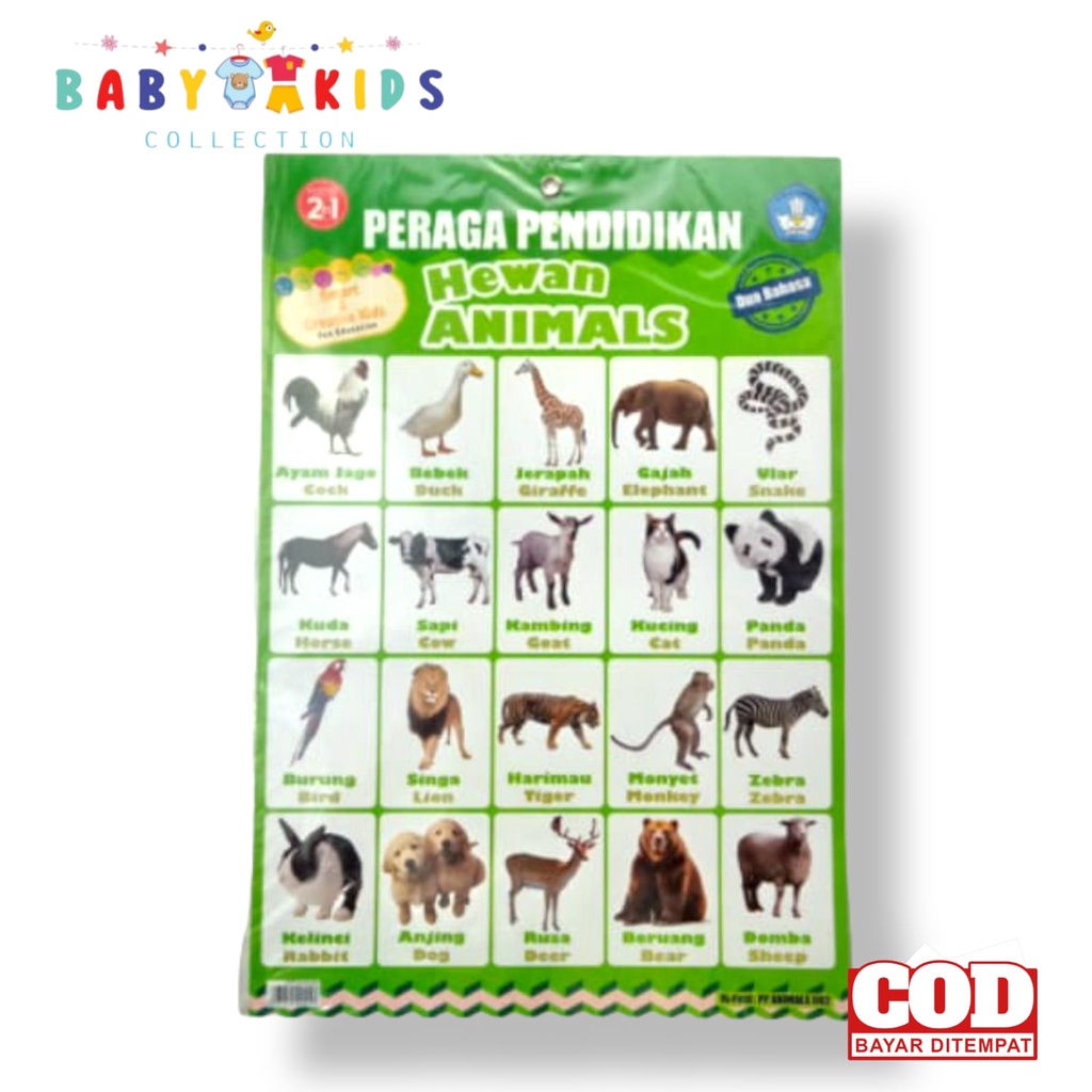 Jual Poster Dinding 2in1 - Seri Hewan | Variasi | Shopee Indonesia
