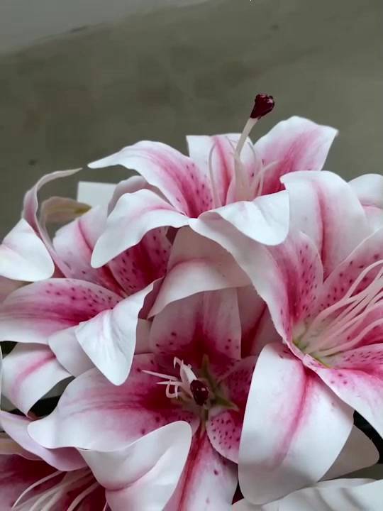 Jual Flower Family - [7 Cabang] LILY Grade A Premium Latex Artificial ...