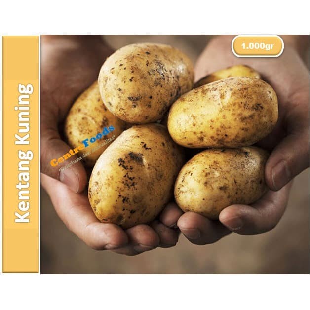 Jual Kentang Dieng Kuning Segar - Kentang Kuning Dieng Fresh | 1.000gr ...