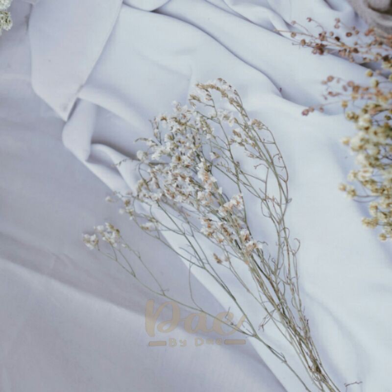Jual Limonium Dried Flower Bunga Kering Murah Shopee Indonesia