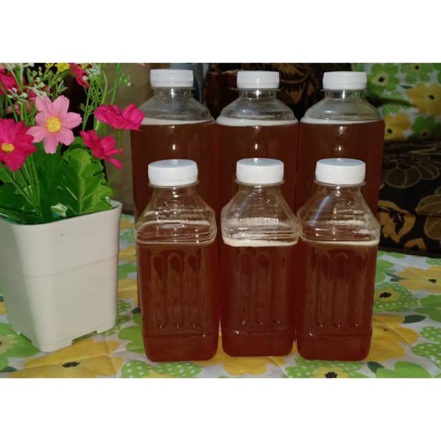 Jual Madu hutan ntt ukuran 200 ml dan 500 ml | Shopee Indonesia