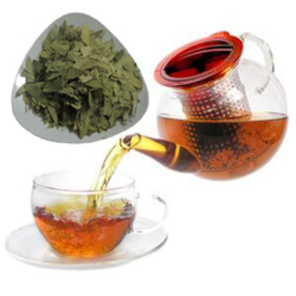 Jual teh daun jati cina jamu herbal daya tahan tubuh anti body 20g ...