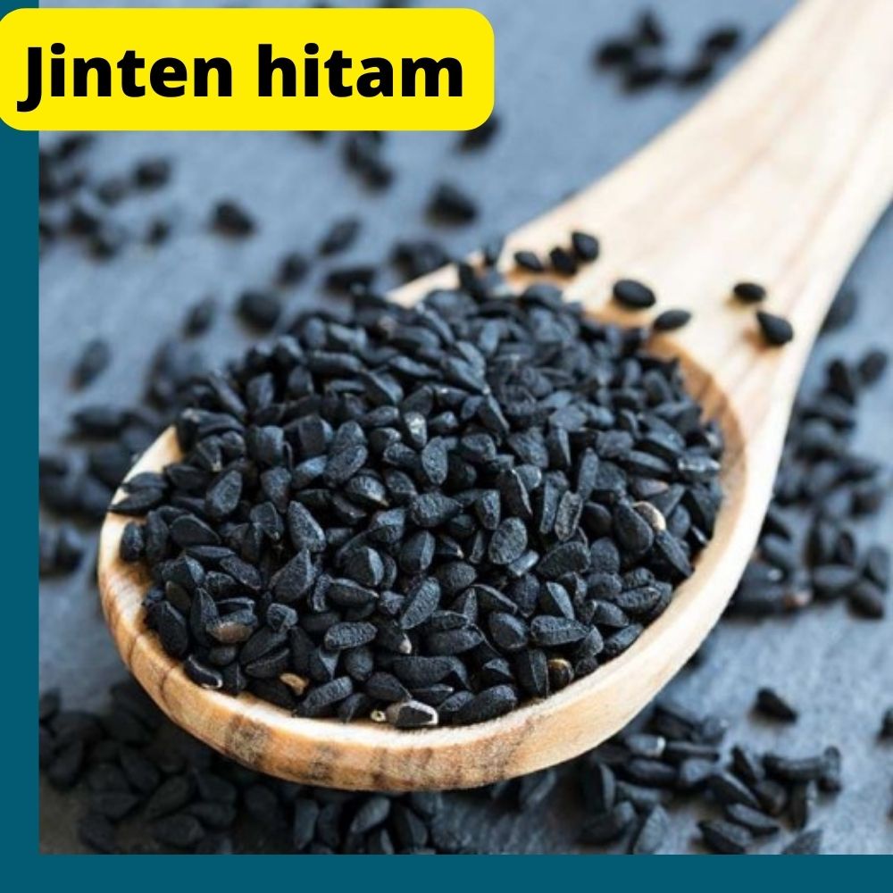 Jual Habbatussauda alias Jintan Hitam 50gr | Shopee Indonesia