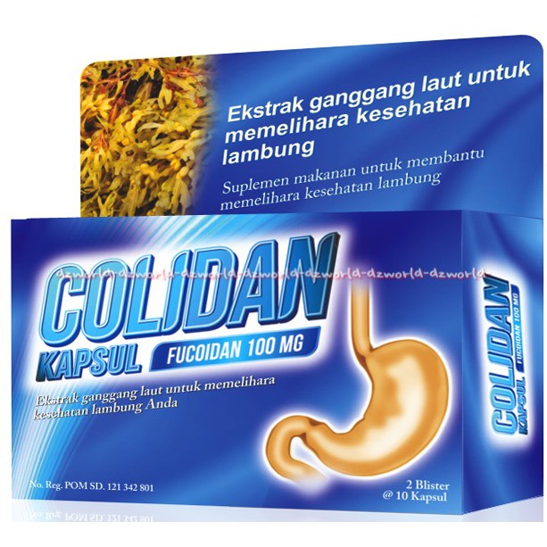 Jual Colidan Biru Fucoidan 100mg 20kapsul Obat Mag Lambung Blue Kolidan ...