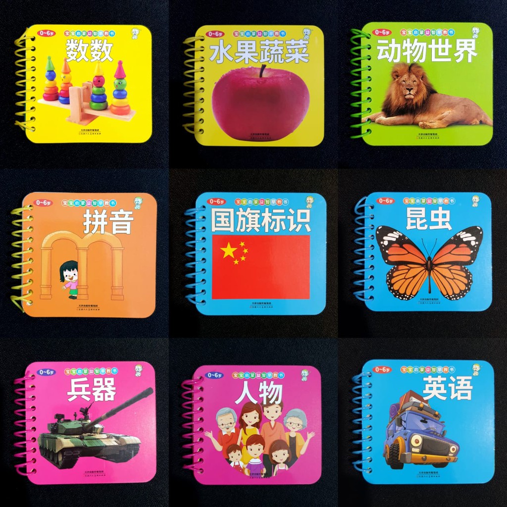 Jual flash card belajar Anak Bahasa Inggris Mandarin Pinyin Buku ...