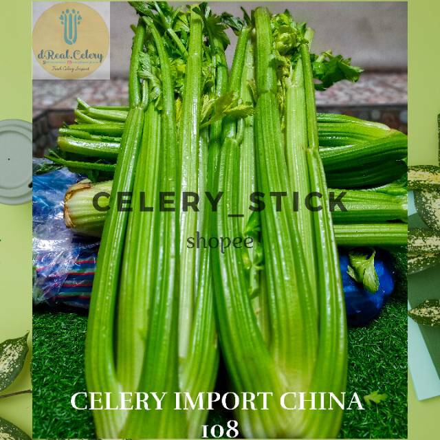 Jual Celery Stick Import China / Seledri Stik Impor / Celery Import ...