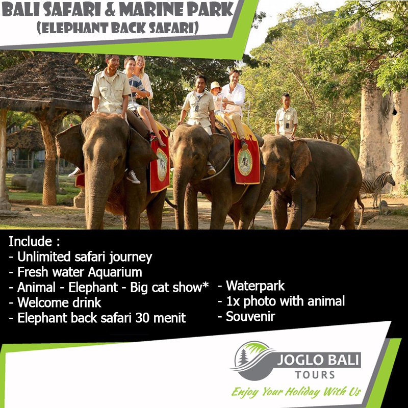 Jual Wisata Safari Elephant Back Safari | Shopee Indonesia