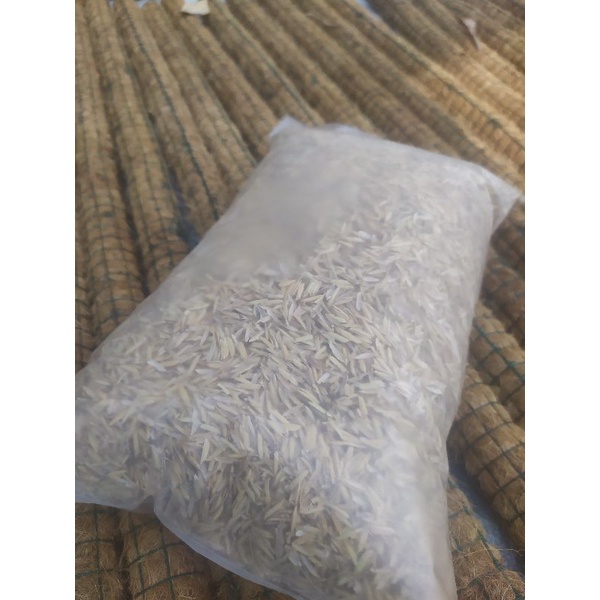 Jual sekam kulit padi mentah repacking 300gr | Shopee Indonesia