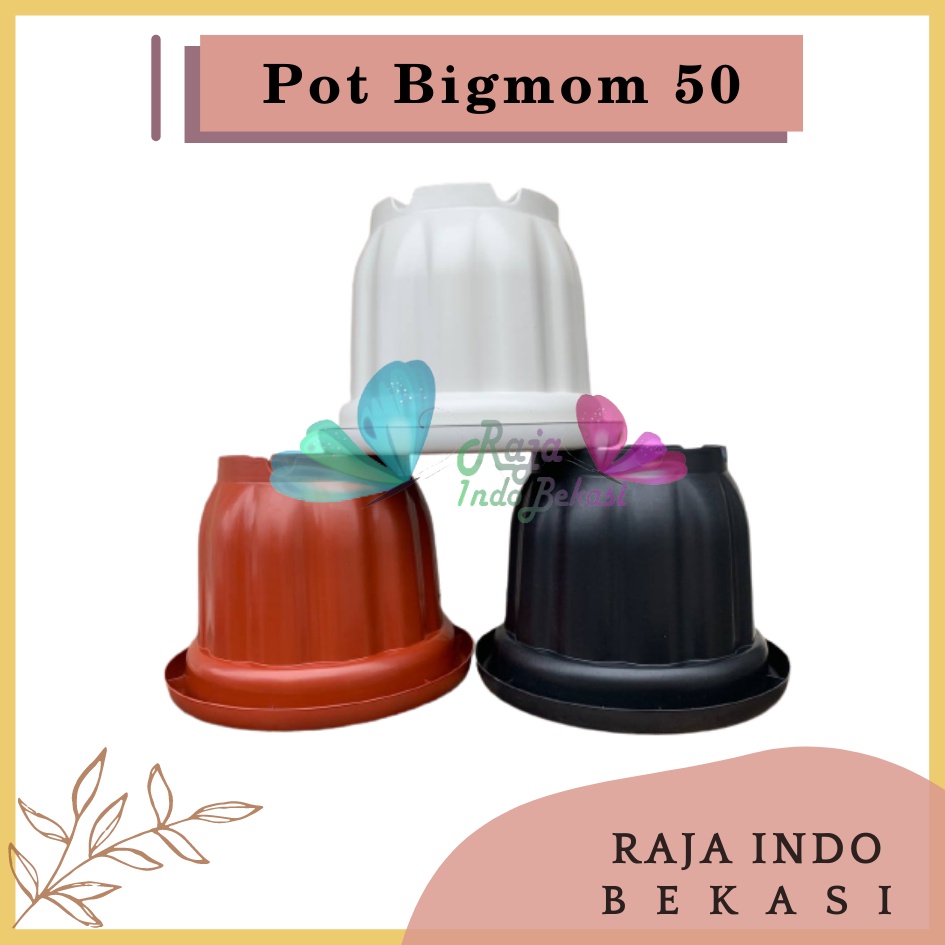 Jual Pot BIGMOM 50 Putih Hitam Merah Bata Merah Coklat Terracota ...