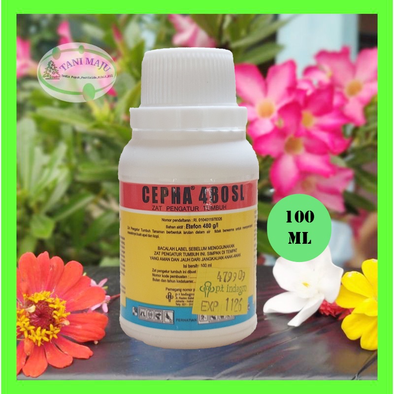 Jual CEPHA / OBAT PEMATANG BUAH / OBAT PEMATANG PISANG | Shopee Indonesia