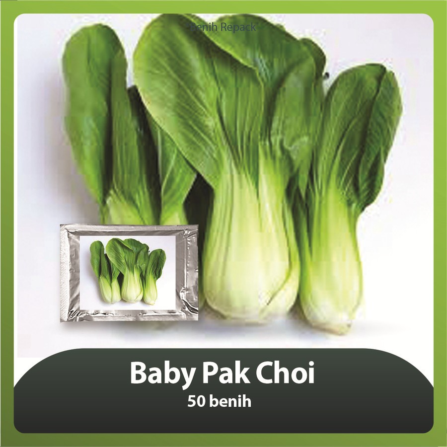 Jual Benih Bibit Baby Pak Choi 50 Benih - PakChoy Choy PakChoi Pakcoi ...