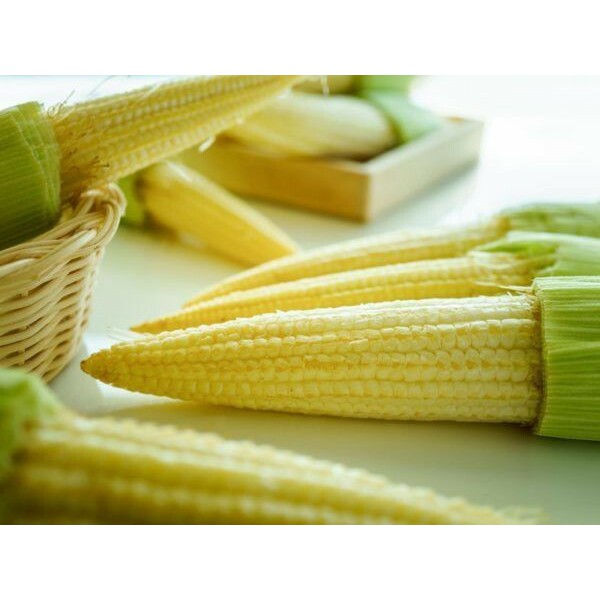 Jual Jagung Acar / Baby Corn / Jagung Putren / Jagung Muda Super 500Gr ...
