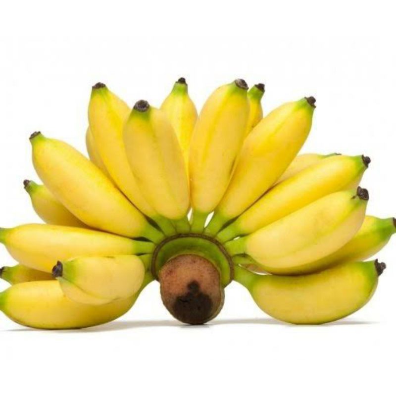 Jual PISANG ULIN| PISANG PUTRI| PISANG BARLIN| PISANG MAS| PISANG MULI ...