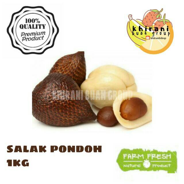 Jual SALAK PONDOH / SALAK / BUAH SEGAR 1kg | Shopee Indonesia