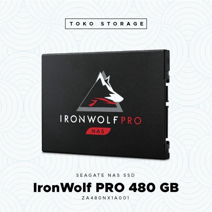 Jual Seagate Ironwolf Pro 125 Ssd Nas 480Gb Sata 3D Nand Tlc ...