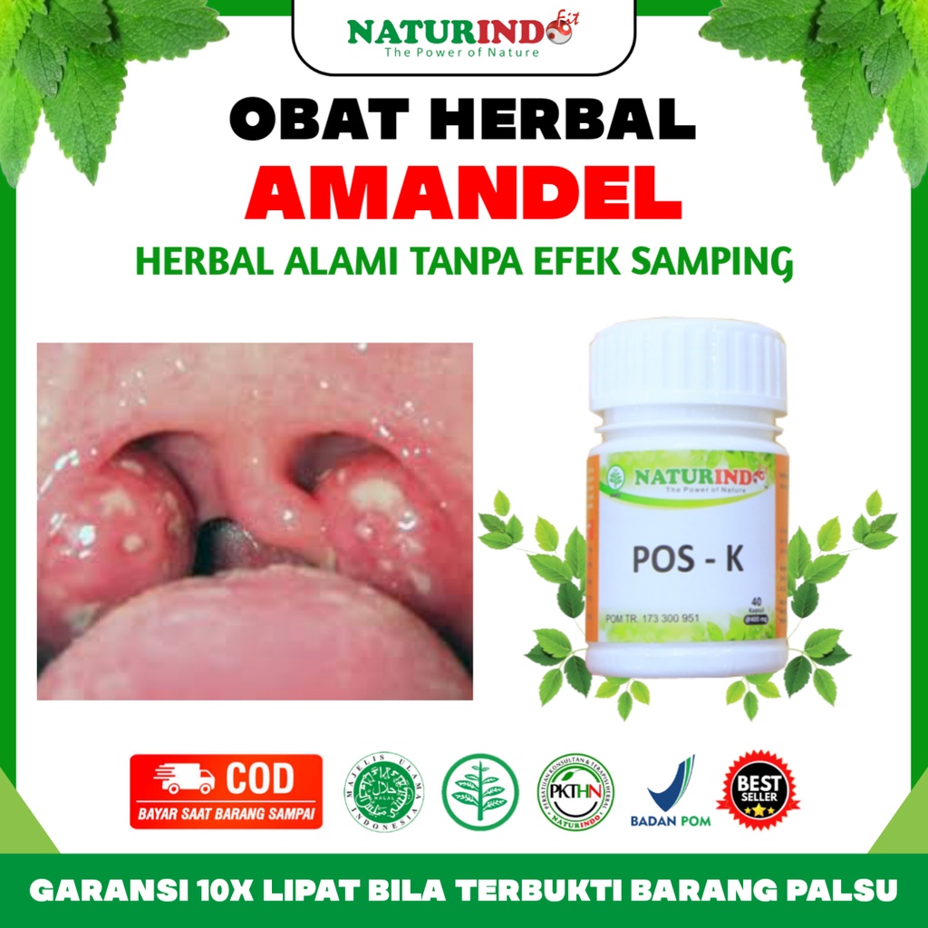 Jual OBAT HERBAL AMANDEL UNTUK DEWASA ANAK KELENJAR TIROID DI LEHER PALING AMPUH NATURINDO POS-K ...