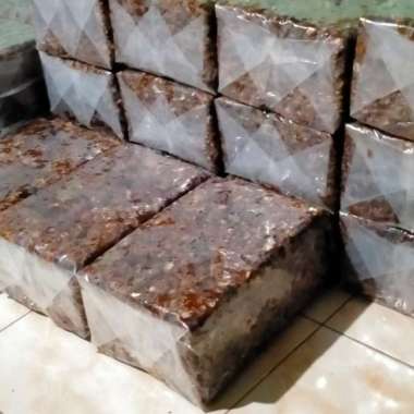 Jual KedaiBenih Buah Asam Jawa Matang Non Biji ~ 500 Gram | Shopee ...