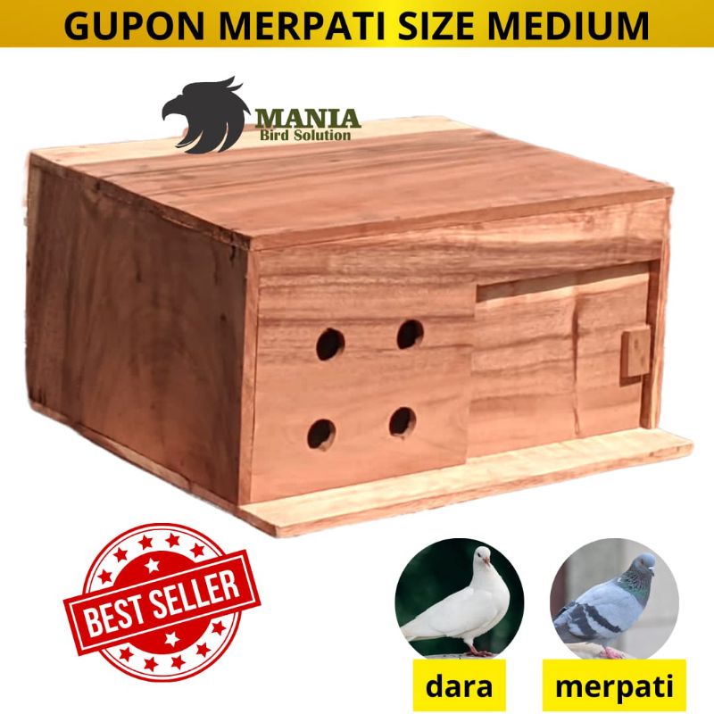 Jual GUPON PAGUPON BURUNG MERPATI DORO RUMAH MERPATI KAYU | Shopee ...