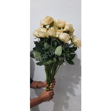 Jual Bunga mawar peach/mawar salem-bunga mawar potong (harga per ikat ...