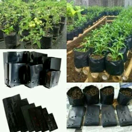 Jual Polybag hitam ukuran 15 X 15 isi 50 Lembar ( PTH28 ) | Shopee ...