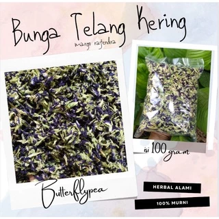 Jual Bunga Telang Terlengkap & Harga Terbaru Mei 2025 | Shopee Indonesia