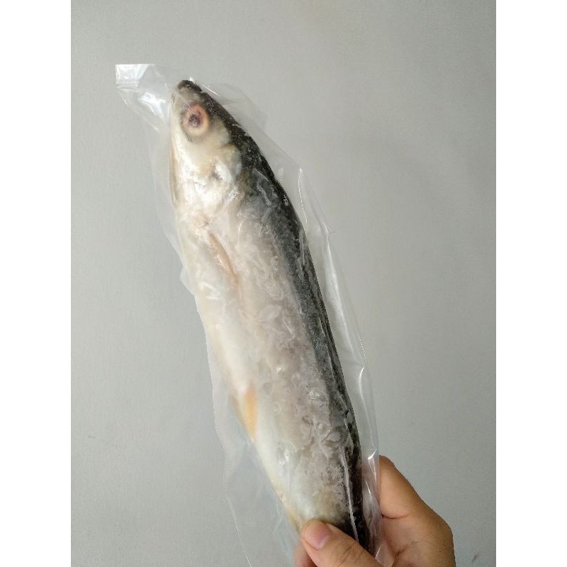 Jual Bandeng Tanpa Duri Besar Beku Frozen Surabaya 250-300 gr. | Shopee ...